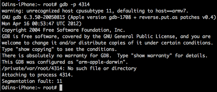 Bypassing Jailbreak Detection In IOS NotSoSecure